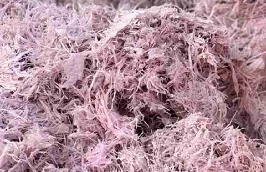 Go-Pak visits James Cropper Paper Mill